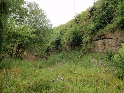 Linton Quarry – Community Conservation Champions